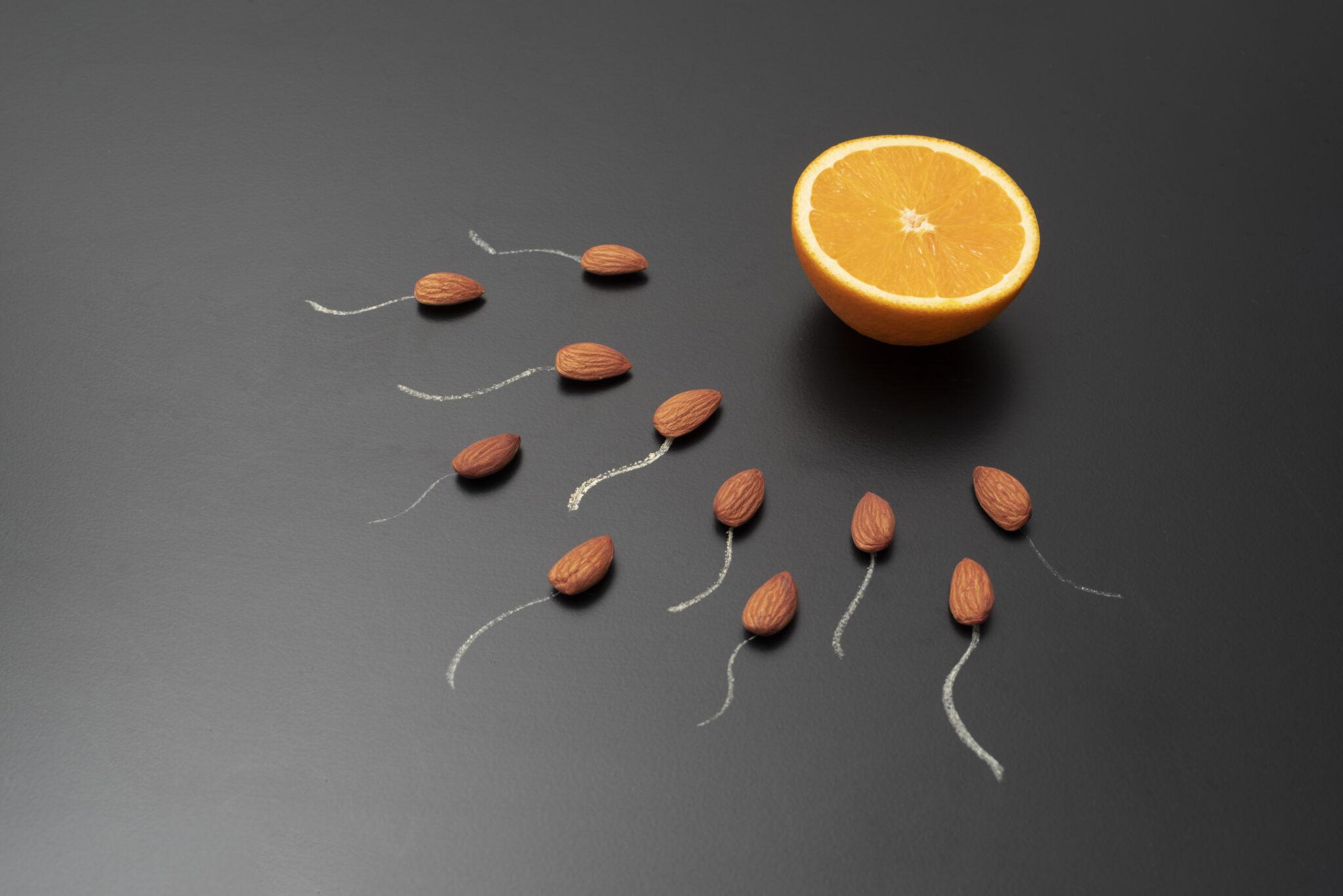 Male Fertility & DNA Fragmentation: Causes, Tests & Treatment